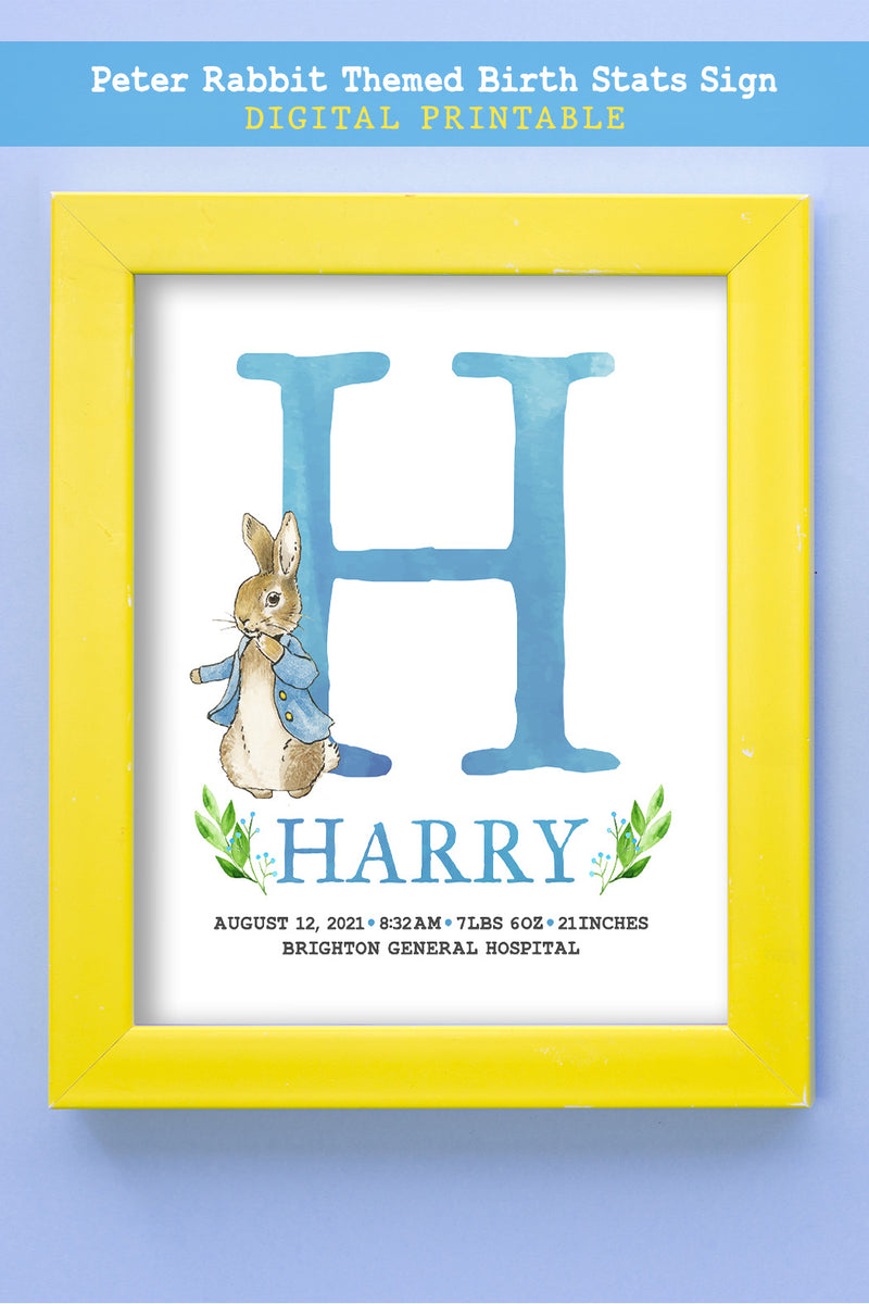 Peter Rabbit Themed Personalized Initial and Name 8x10 Inches Birth St ...